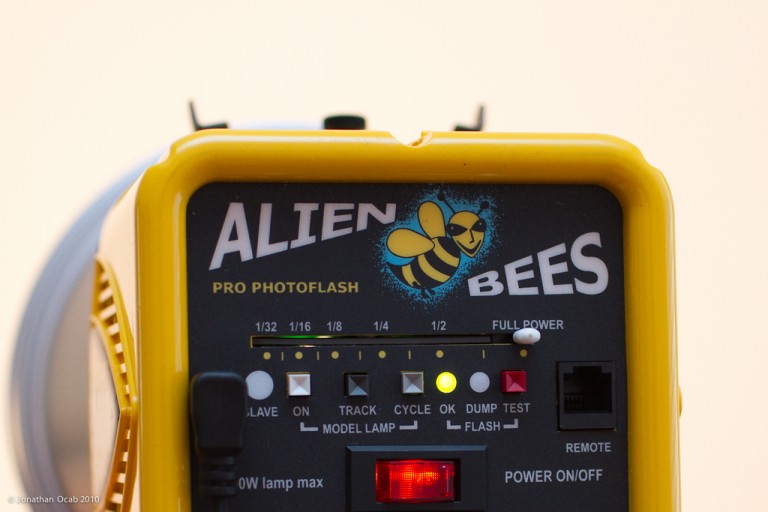 Abducted by Alien Bees – ocabj.net