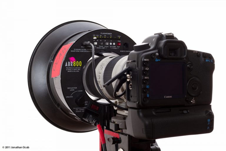 ABR800: Ring flash at a decent price – ocabj.net